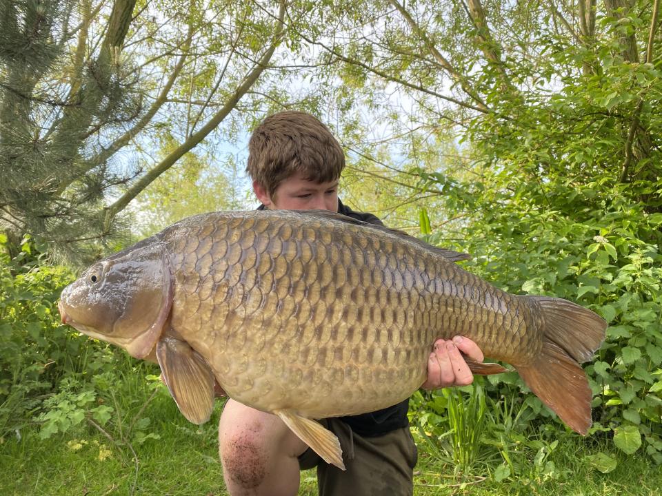 Coole acres fisheries | Total Carp